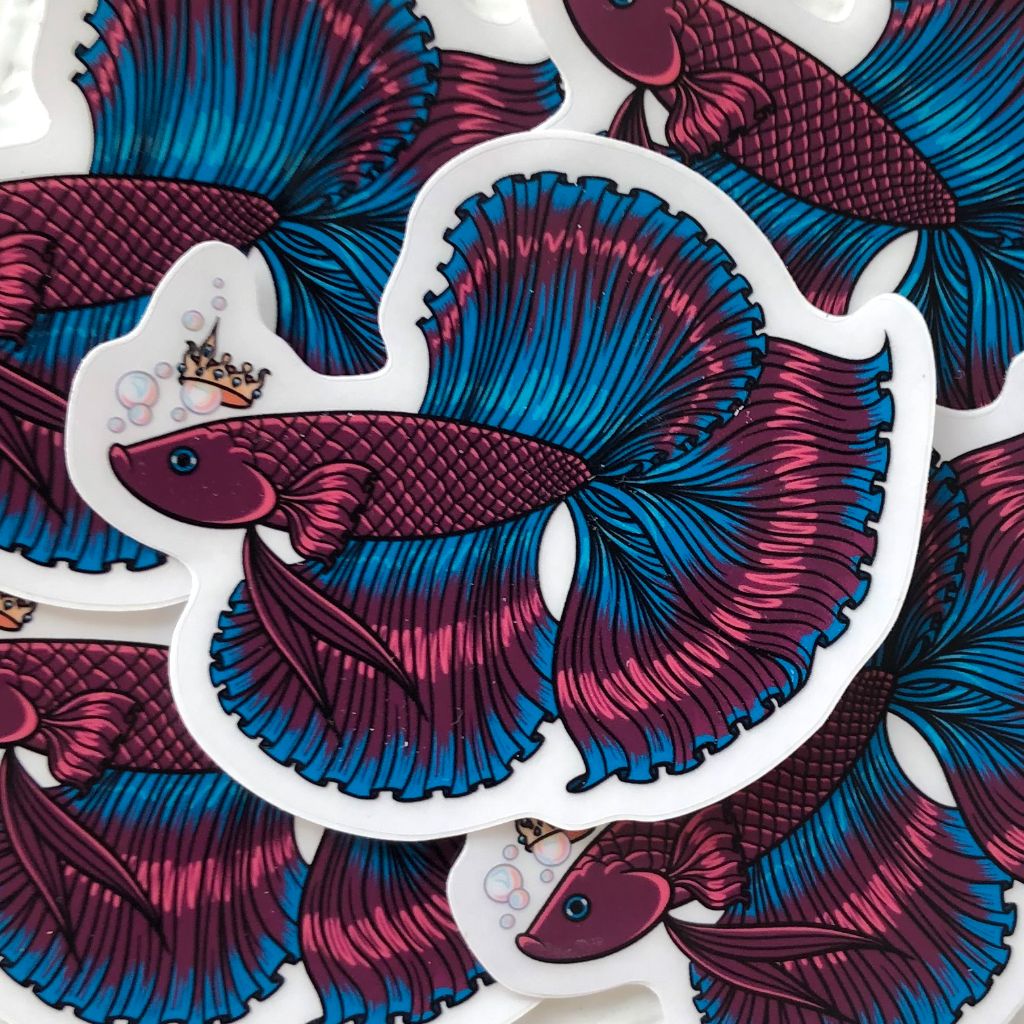 Aquatic – Gallery Boom