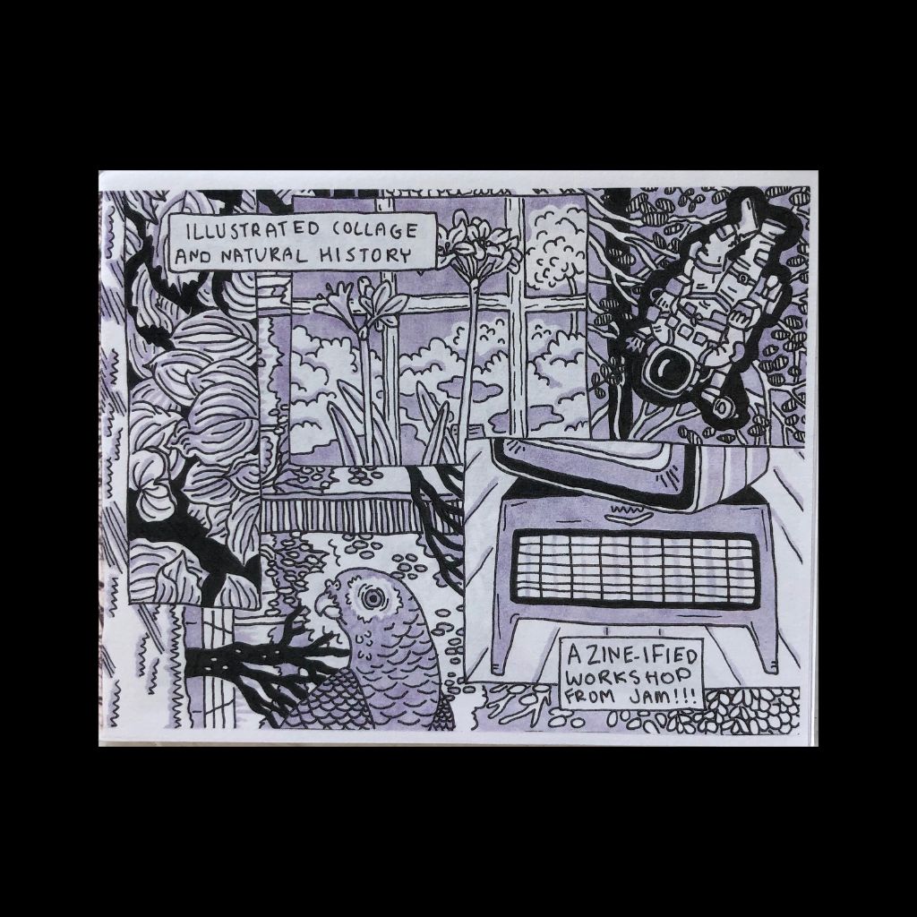 Illustrated Collage and Natural History Zine – Gallery Boom